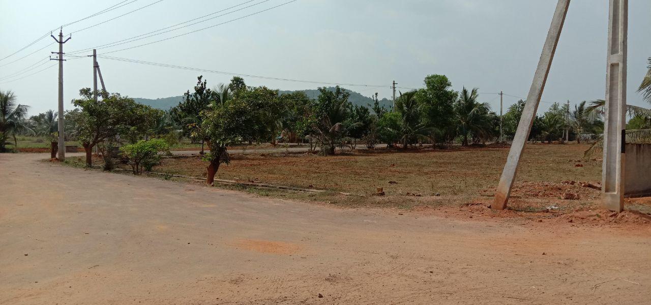 BALAJI HILL COUNTY PARAWADA