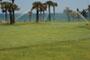 BEACH VIEW PLOTS PLOT IN BEACH VIEW SUNRAY BEACHF RONT SUNRAY PLOTS ...